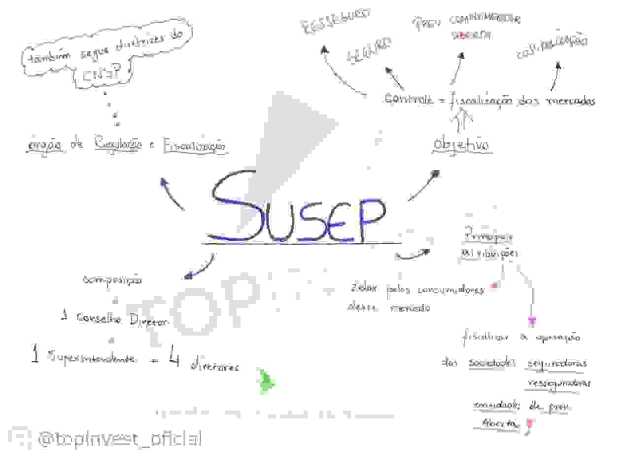 Infográfico SUSEP, Mapa Mental SUSEP - TopInvest Educação Financeira